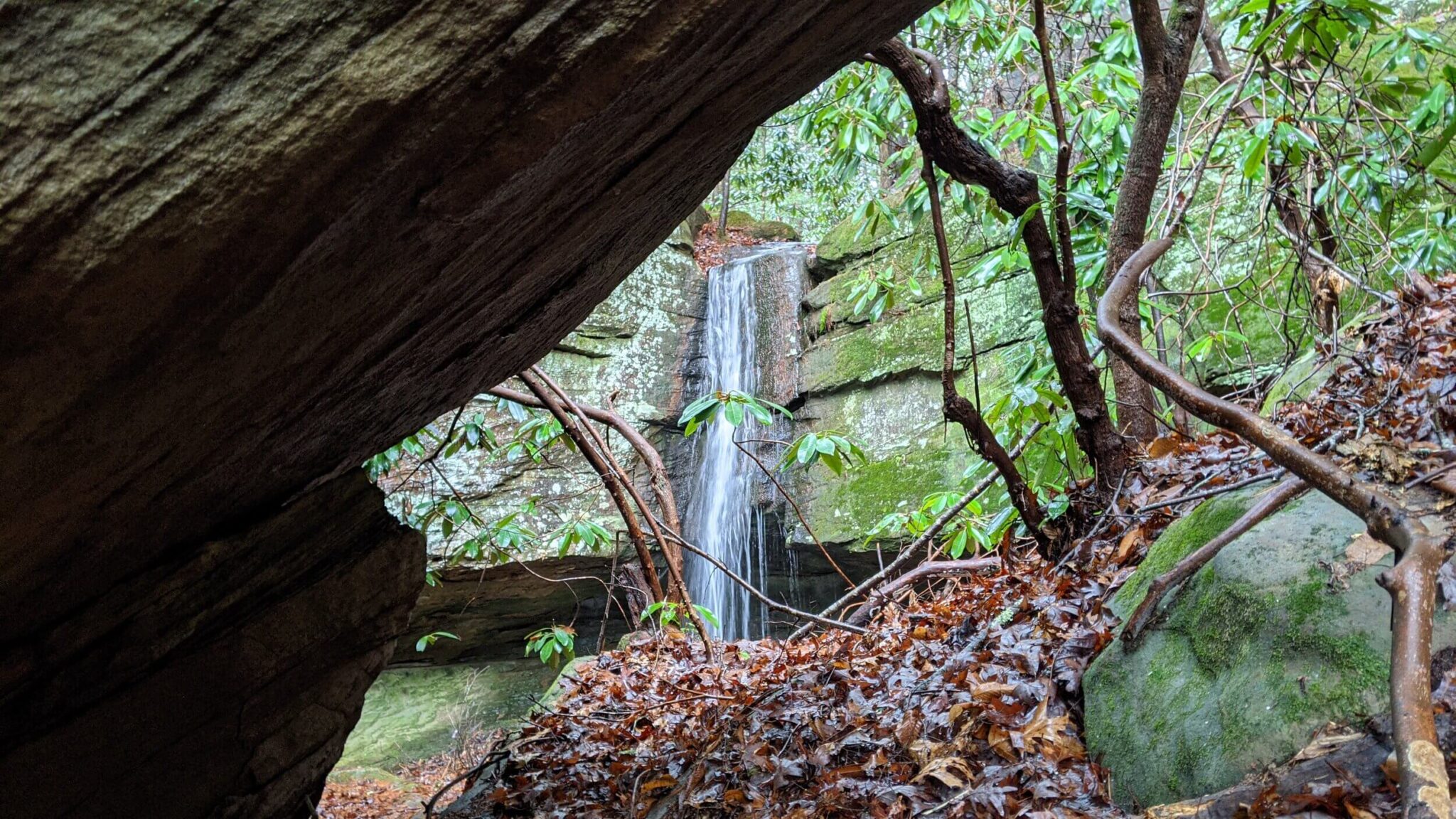 Red River Gorge: The Complete Guide to Kentucky’s Best Outdoor ...