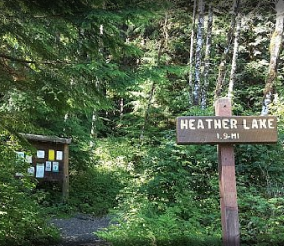 Hiking Washington's Heather Lake Trail