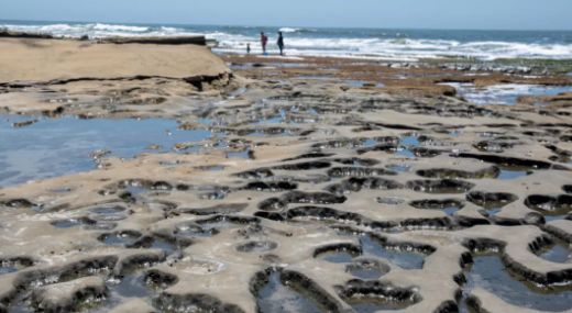 Finding Tide Pools - Gorp