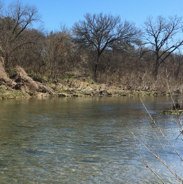 Best Freshwater Fishing in Texas - Gorp