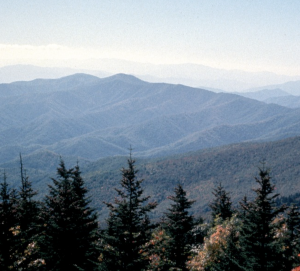 Visiting the Great Smoky Mountain National Park - Gorp