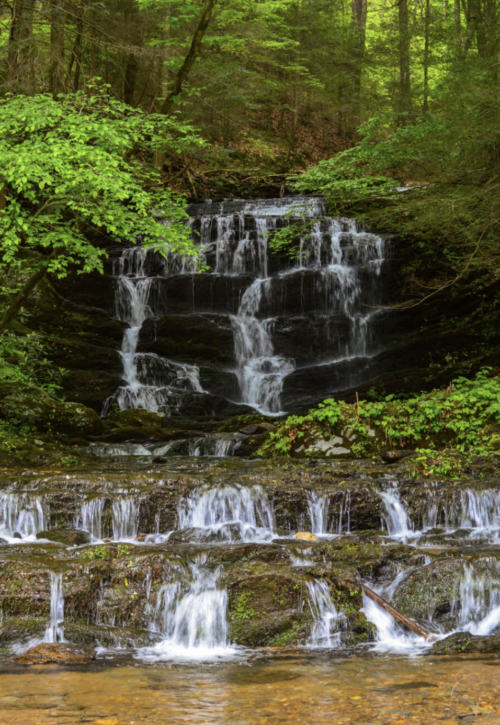 Visiting Cherokee National Forest in Tennessee - Gorp