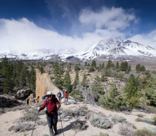 Visiting Inyo National Forest - Gorp
