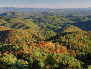 Exploring Chattahoochee-Oconee National Forest - Gorp