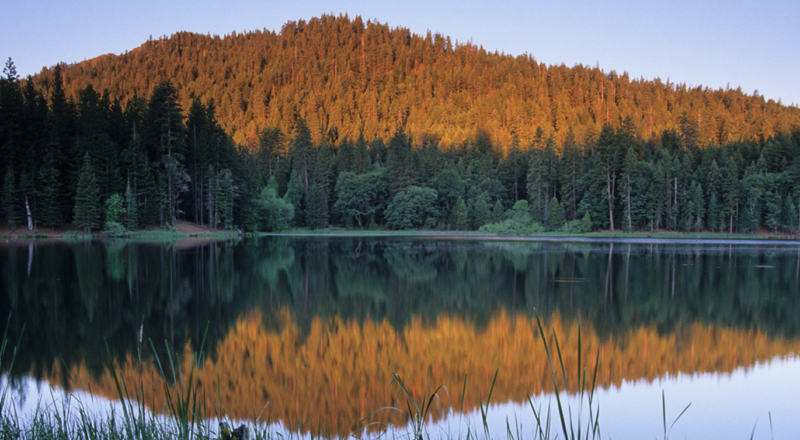 Mendocino National Forest Guide 2026: Top Trails, Lakes & Camps - Gorp