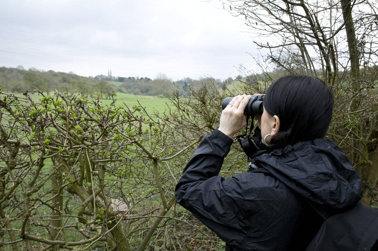 Gorp - Explore the Outdoors